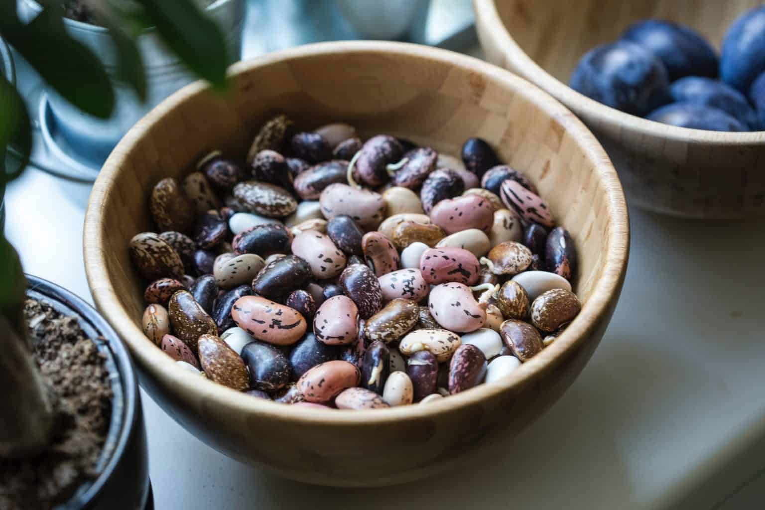 What Are Pulses? Everything You Need To Know About This Delicious ...